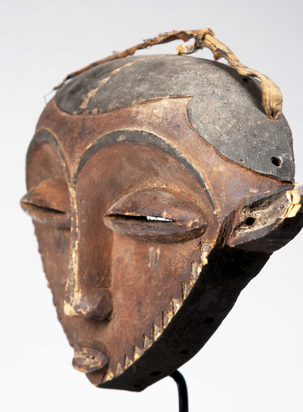 Pende African buffalo mask – Masks of the World